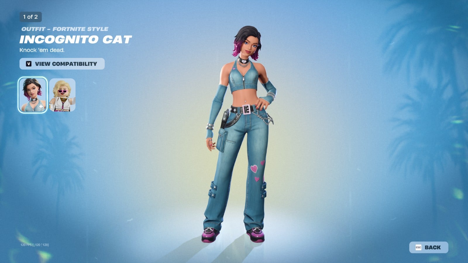 Who is Cat Holloway in Fortnite? How to get all cosmetics ...